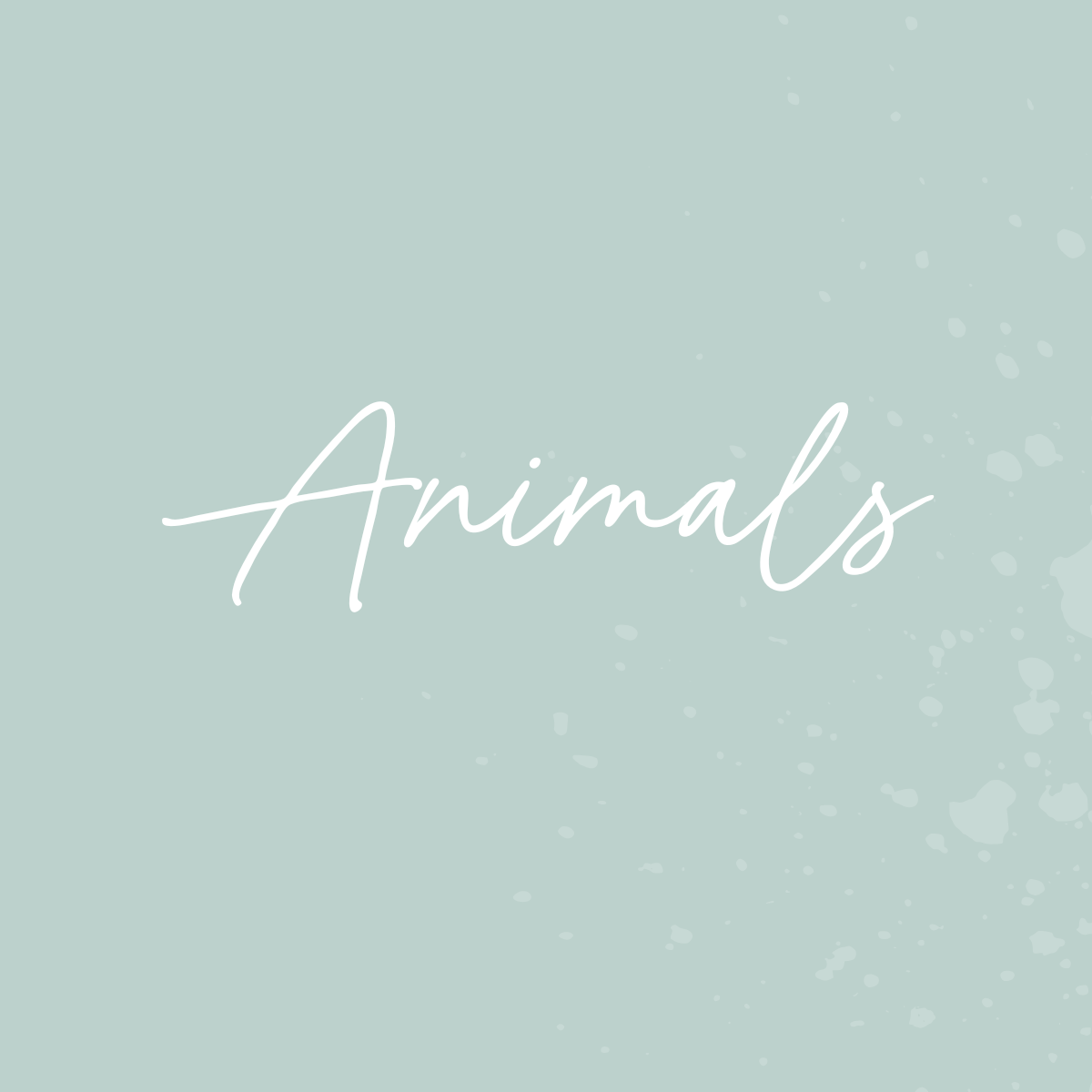 Animals – Page 2 – ButterflyGiGi